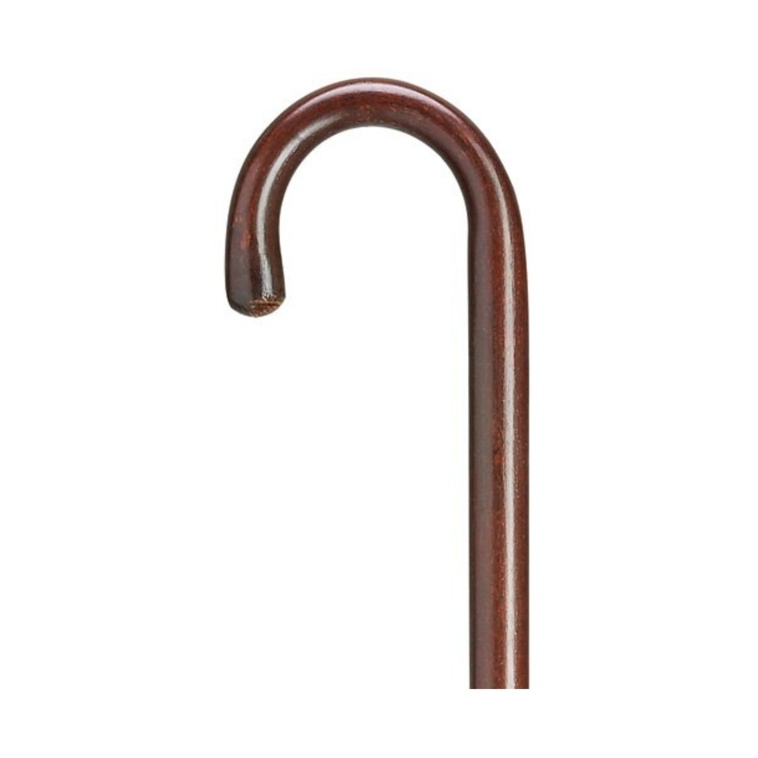 Harvy Canes - House MD 1" Wood Cane, Walnut | Lolly & Pops Medical ...
