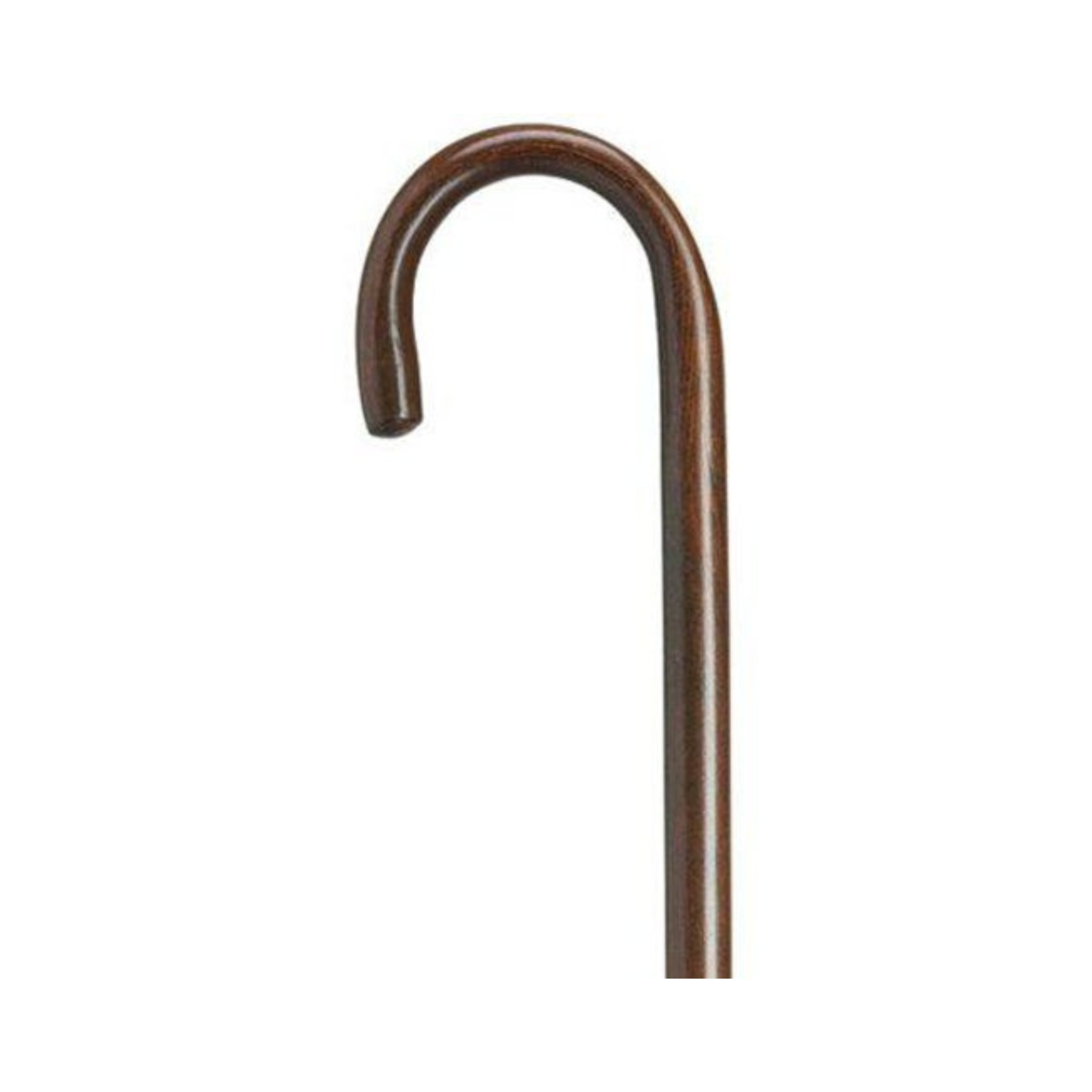 Harvy Canes - Round Nose Crook Handle Hospital Walking Cane | Lolly ...